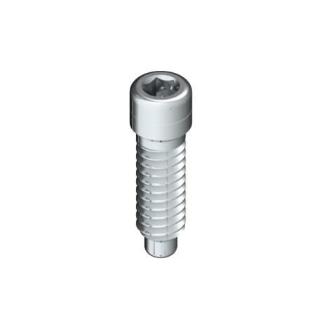 Calcinable Dir.Imp. Rot. RN con Tornillo Ti. Straumann®ITI®